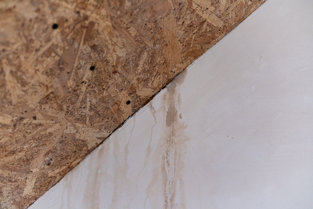 How Water Intrusion Damages Homes: Early Warning Signs Every Homeowner ...