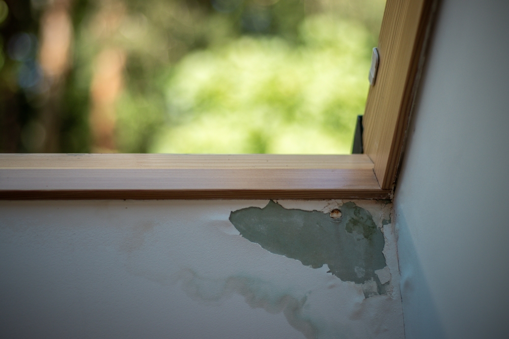 Why Water Intrusion Testing Is Essential Before Any Major Renovation ...
